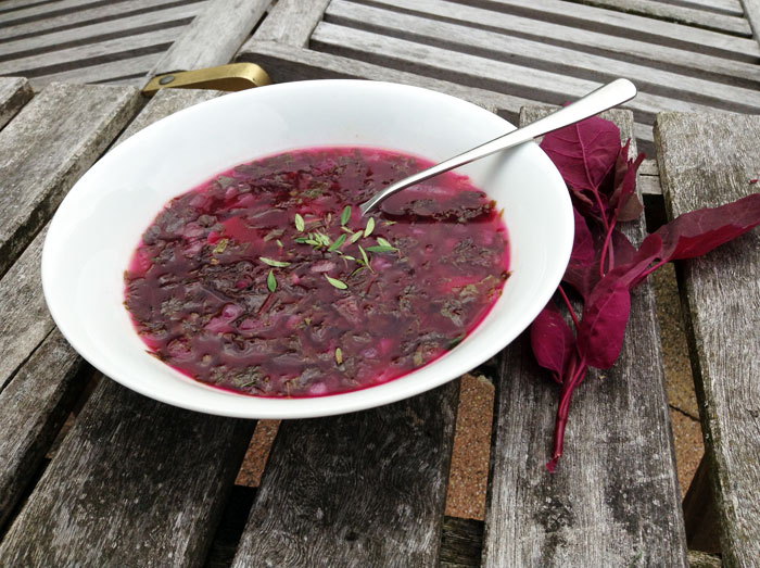 Soep van rode melde « studiodien